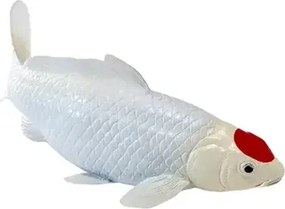 Mojo Kapr koi tancho / od 3 let