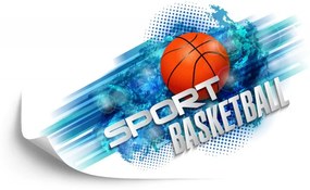 Fototapeta Basketbal V Moderním Stylu Samolepící tapety 460x300