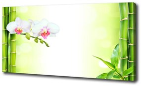 Wallmuralia Foto obraz na plátně Orchidej a bambus 100x50
