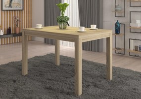 ADRK Furniture Konferenční stolek OLAF 2 120x80 CT-Ola-2-S-H071