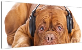 Moderní obraz - pes se sluchátky (100x40cm)