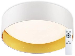 Top Light - LED Stmívatelné stropní svítidlo LED/24W/230V +dálkové ovládání bílá