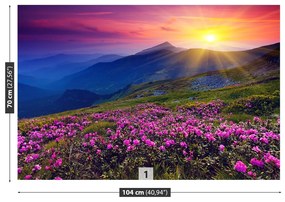 Fototapeta Rhododendron Květiny 104x70