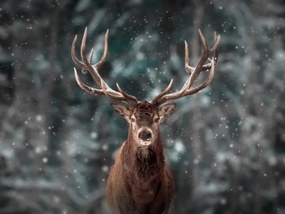 Vícedílný obraz Jelen V Lese 3D Nedostatek Nedostatek Přírodní plátno 160x120