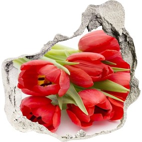 Wallmuralia Samolepící díra na stěnu Červené tulipány 75x75 cm