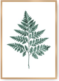 Plakát Fern Emerald Green