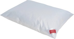 XXXLutz POLŠTÁŘ POD HLAVU, 40/80 cm Hefel Textil - Polštáře pod hlavu - 004636999818