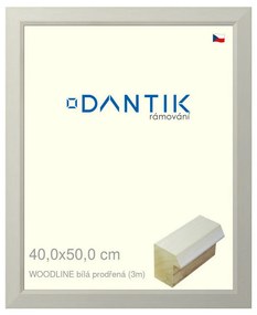 DANTIK rámeček 40x50 | WOODLINE bílá prodřená (Plexi Čiré)