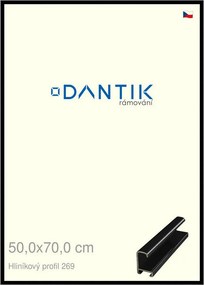 DANTIK rámeček 50x70 | ALU profil 7269 Černá lesklá (Plexi Čiré)