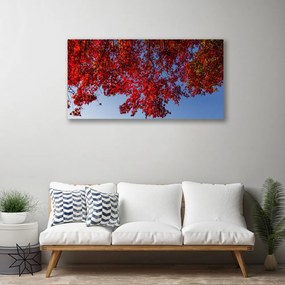 Obraz na plátně Strom Listy Větve Příroda 120x60 cm