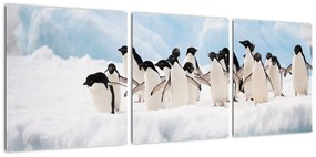 Tučňáci - obraz