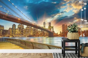 Fototapeta Pohled Na New York City Omyvatelný vlies 300x210