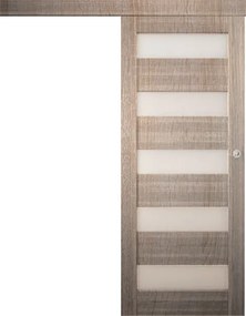 posuvné interiérové dveře na stěnu vasco doors SANTIAGO model 7 Průchozí rozměr: 70 x 197 cm, Orientace dveří: Levé dveře, Dekor: Ořech muškátový