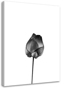 Obraz na plátně Černobílý květ - 60x90 cm