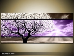 Obraz na plátně Rozkvetlý strom 2, 4 dílný 150x80cm 2367 Kč | BIANO