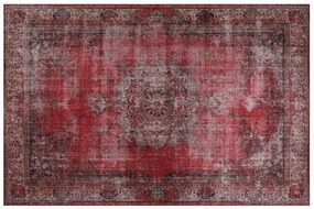 Conceptum Hypnose Kusový koberec Blues Chenille - Red AL 119, Vícebarevná, 210 x 310 cm