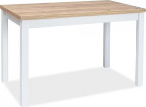 Casarredo - Komfort nábytek Jídelní stůl ADAM 100x60, dub zlatý craft/bílá mat