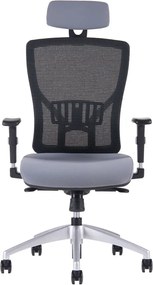 Kancelářská ergonomická židle Office Pro HALIA MESH SP – s podhlavníkem, více barev Šedá 2625