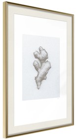 Artgeist Ginger Rhizome Velikosti (šířkaxvýška): 40x60, Finální vzhled: Zlatý rám s paspartou