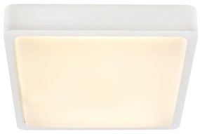 SLV Ainos, stropní svítidlo, LED 17W 3000/4000K, bílá, 30x30cm, IP65