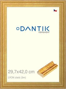DANTIK rámeček 29,7x42 | LYON zlatá (Plexi Čiré)