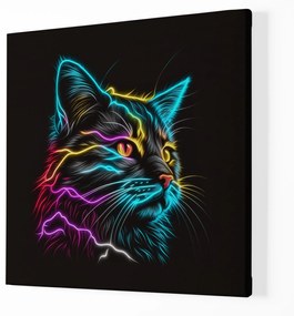 Obraz na plátně - Barevná zářící kočka FeelHappy.cz Velikost obrazu: 140 x 140 cm