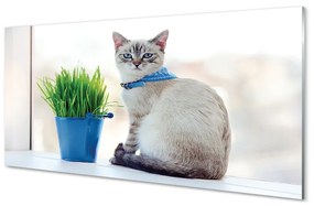 akrylový obraz sedící kočka 100x50 cm