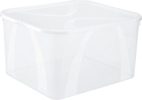 XXXLutz BOX S VÍKEM 25 l Rotho - Stohovatelné boxy - 003294001806