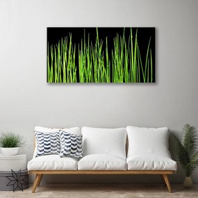 Obraz na plátně Plevel 140x70 cm