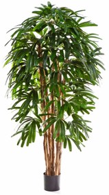 Bambusová Palma umělá V 230 cm