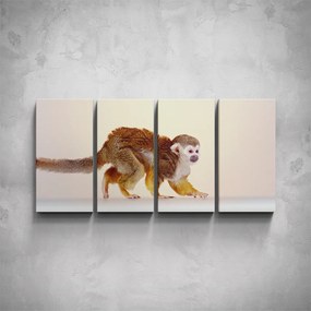 4-dílný obraz - Opička - PopyDesign