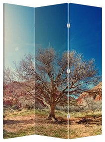 Paraván - Strom v poušti (126x170 cm)