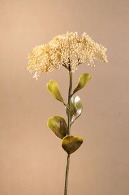 Paramit DRY FULL BLOOM SEDUM Aranžovací květina bílá 46 cm