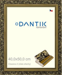 DANTIK rámeček 40x50 | Claico 2 (zlato ořechy) (Plexi Čiré)