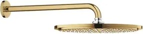 Grohe Rainshower Cosmopolitan - Hlavová sprcha Cosmopolitan 310 s rame