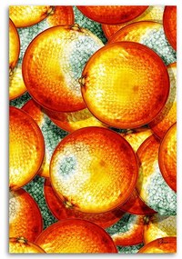 Gario Obraz na plátně Pomeranče - Rubiant Rozměry: 40 x 60 cm
