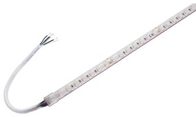 LA 1004737 GRAZIA IP FLEXSTRIP 24 V RGBW IP55 - BIG WHITE (SLV)