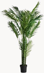 Umělá rostlina Palmera