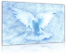Malvis ® Obraz nebeská holubice Velikost (šířka x výška): 60x40 cm