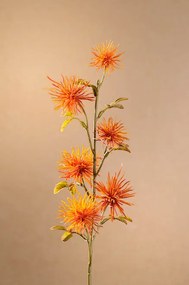 Paramit DRY MINI XANTHIUM Aranžovací květina oranžová 53 cm