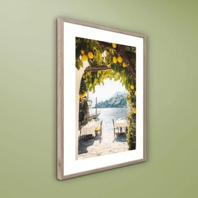 Tištěný obraz s rámem 50x70 cm Lemon View – Styler