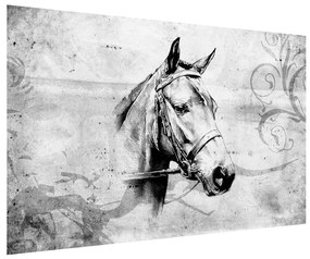 Obraz - portrét koně (120x80 cm)