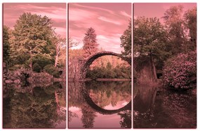 Obraz na plátně - Most v parku v Kromlau 1246VB (120x80 cm)