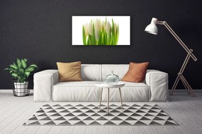 Obraz na plátně Tulipány Rostlina Příroda 100x50 cm