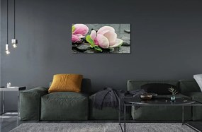 Obraz na skle Magnolia kameny 120x60 cm