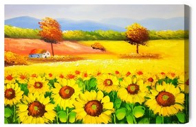 Obraz Barevná Krajina Se Slunečnicemi Jako Malovaná Nedostatek Nedostatek Plátno Canvas 40x30