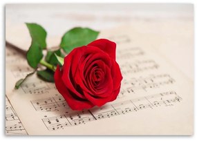 Obraz na plátně Červená růže květ hudby - 120x80 cm