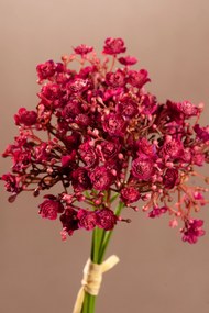 Paramit GYPSO PICK Aranžovací květina červená 30 cm