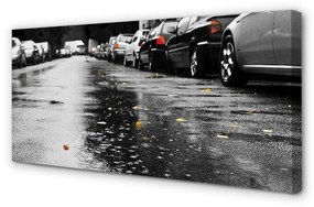 Obrazy na plátně Car podzimní listí silnice 100x50 cm
