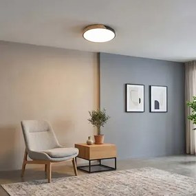 Solight LED osvětlení s dálkovým ovladačem Polia dub, černá / 46W / 32